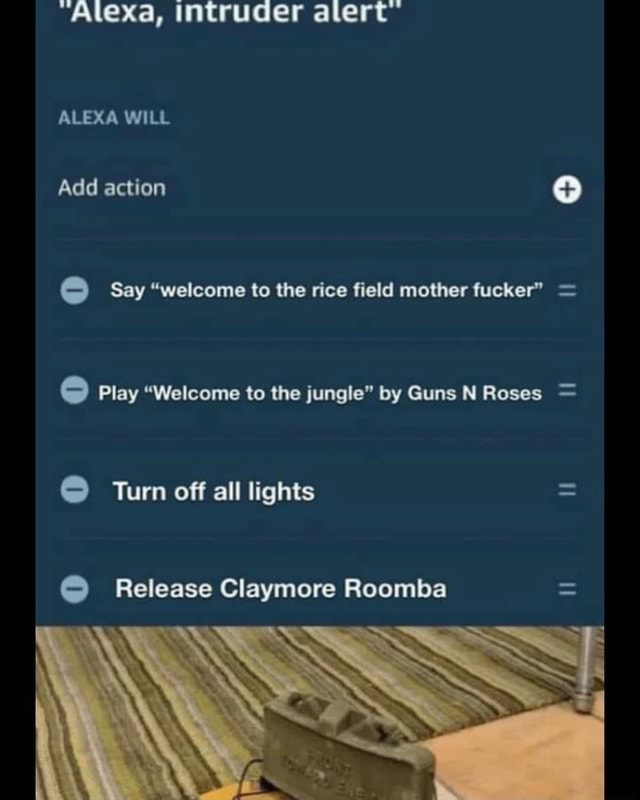 "Alexa, intruder alert" º Release Claymore Roomba : º Play "Welcome to ...