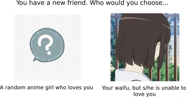You Nave a new friend. Who would you choose... A random anime girl who ...