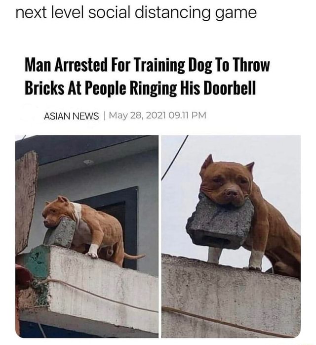Next level social distancing game Man Arrested For Training Dog To ...