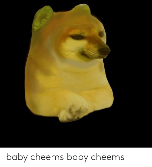 Baby cheems baby cheems - iFunny
