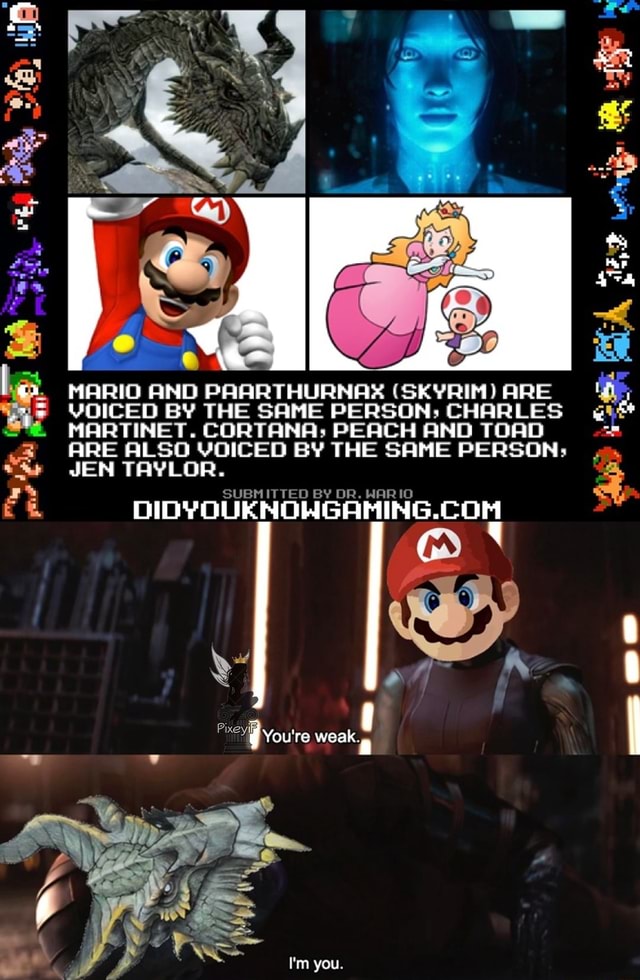 MARIO AND PAARTHURNAR (SKYRIM) ARE VOICED BY THE SAME PERSON: CHARLES ...