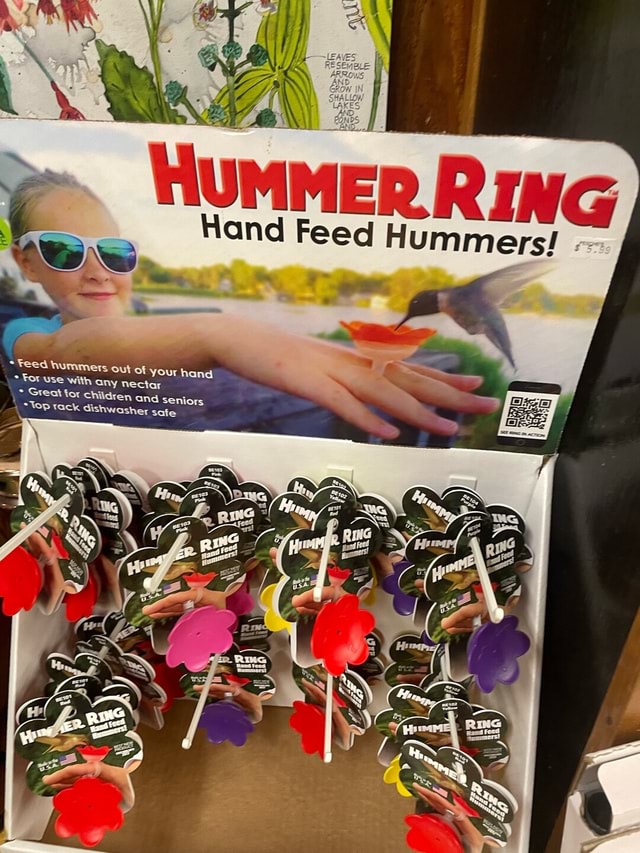 I I HUMMER RING Hand Feed Hummers! feed hummers out of your hand For ...