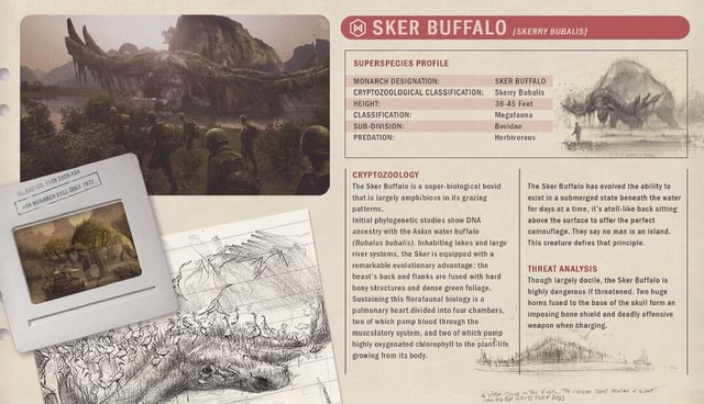 KER BUFFALO SUPERSPECIES PROFILE MONARCH DESIGNATION: CRYPTOZOOLOGICAL ...