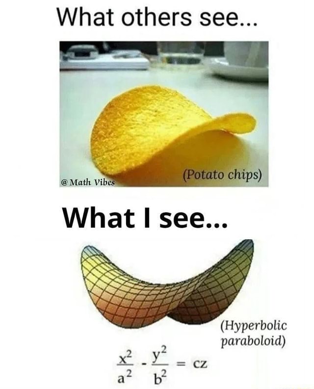 What others see... (Potato chips) What see... (Hyperbolic paraboloid ...