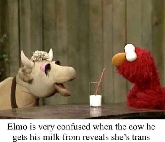 Elmo is very confused when the cow he gets his milk from reveals she's ...