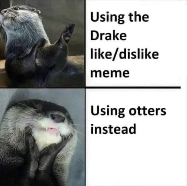 Using the Drake like/ meme Using otters instead - iFunny