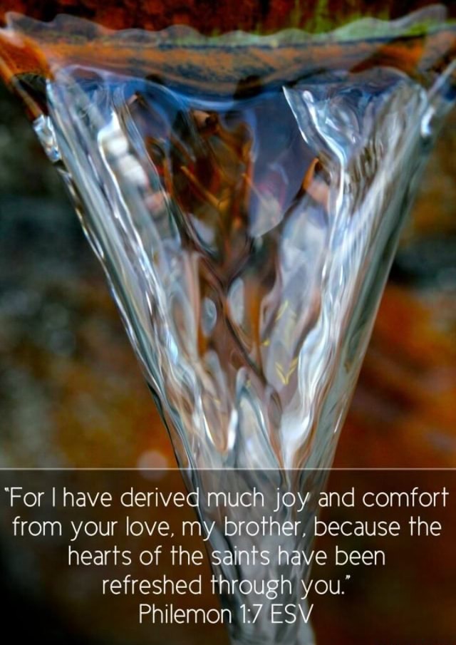 For I have derived much joy y and comfort from your love, my brother ...