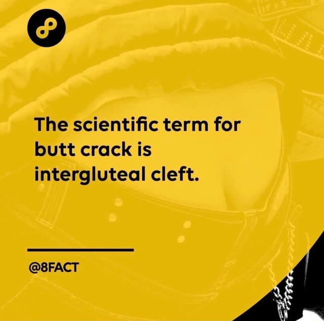 The scientific term for butt crack is intergluteal cleft. @8FACT - iFunny