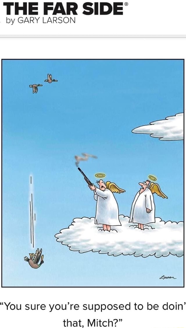 THE FAR SIDE' by GARY LARSON "You sure you're supposed to be doin that ...