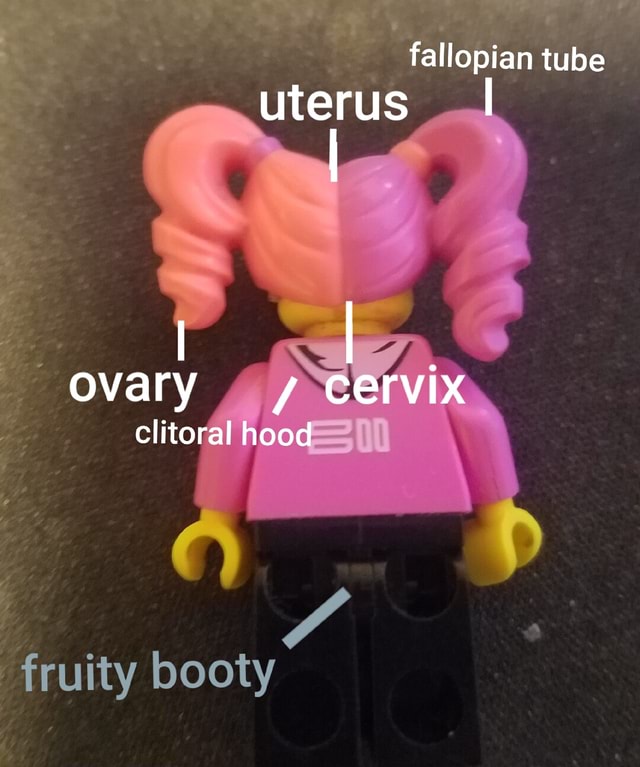 Fallopian tube uterus I ovary cervix clitoral hood fruity booty - iFunny