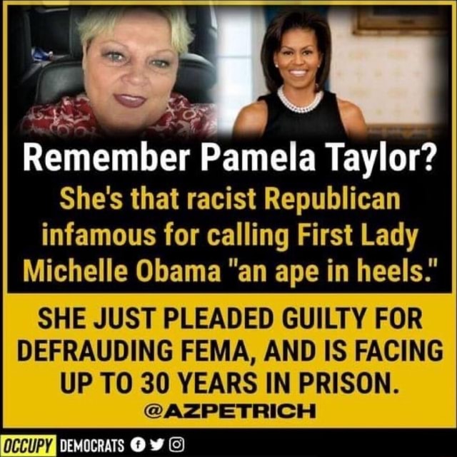 Remember Pamela Taylor? She's that racist Republican infamous for ...
