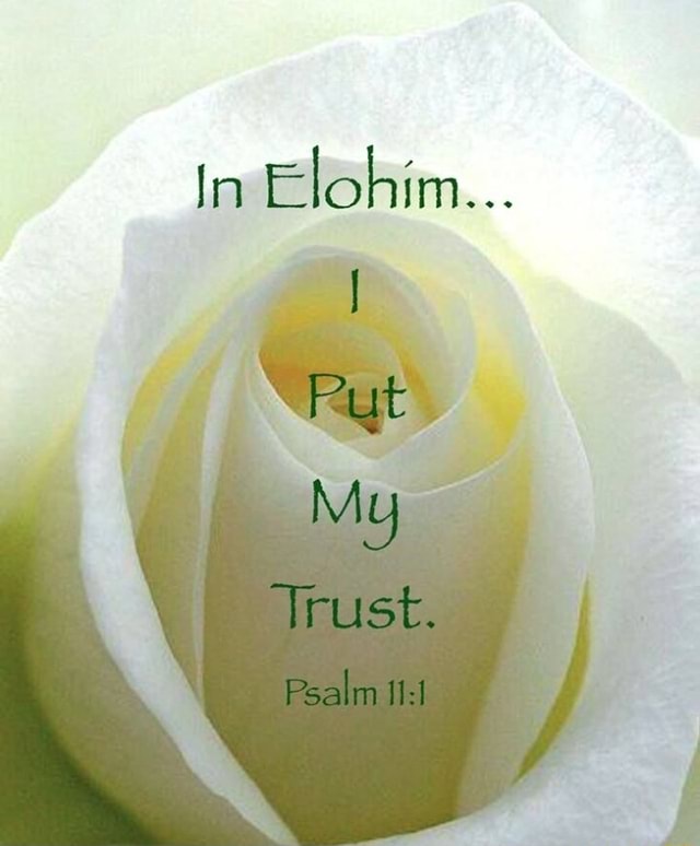 In Elohim... \ Put My 'Trust. Psalim - iFunny