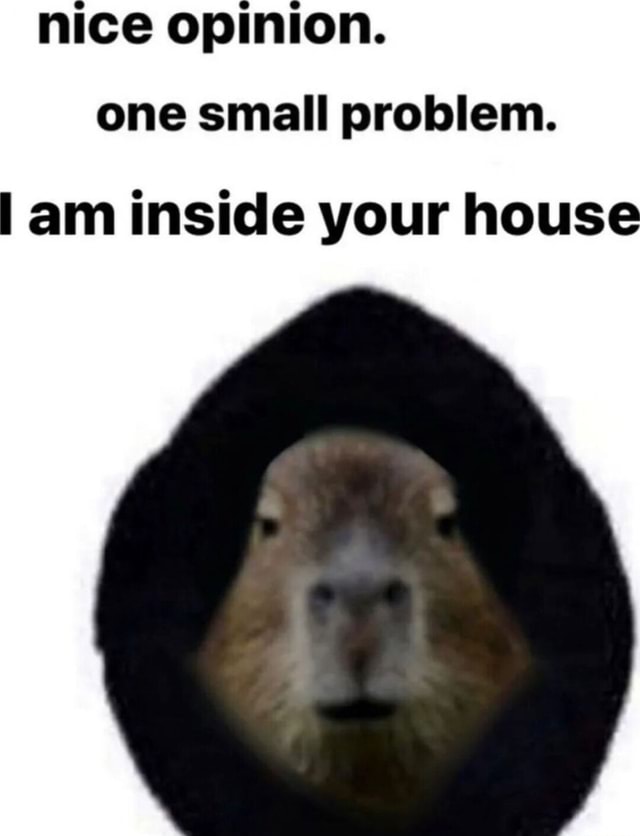 Nice opinion. one small problem. am inside your house - iFunny