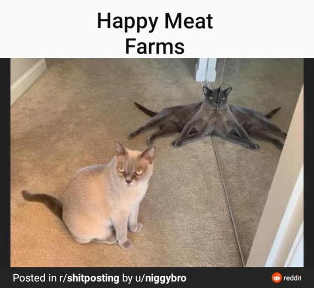 Happy Meat Farms Posted in shitposting by - iFunny