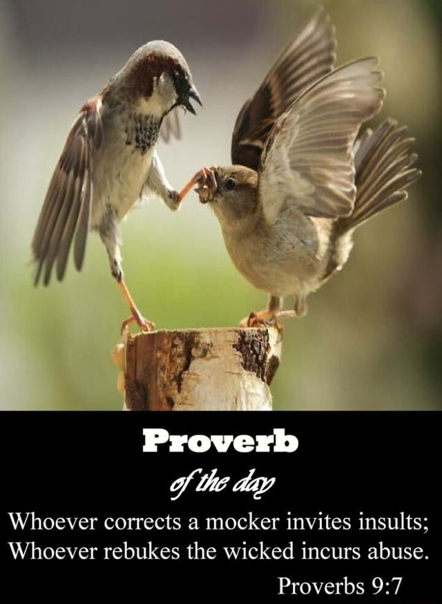 Proverb of the day Whoever corrects a mocker invites insults; Whoever ...
