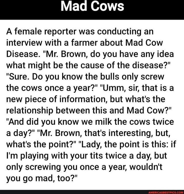 Cows A female reporter was conducting an interview with a farmer about ...