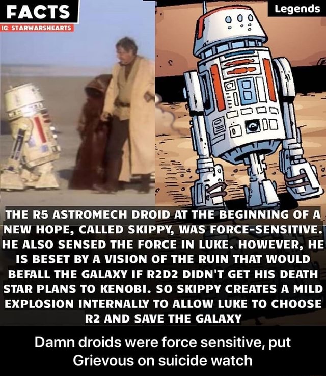 NEW HOPE, CALLED SKIPPY, WAS FORCE-SENSITIVE. HE ALSO SENSED THE FORCE ...