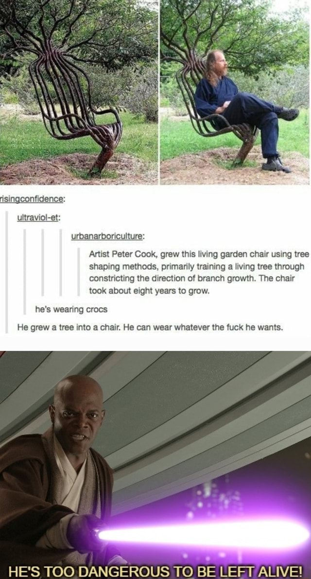 Isingconfidence: urbanarboriculture: Artist Peter Cook, grew this ...