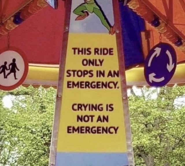 THIS RIDE ONLY STOPS CRYING IS NOT AN EMERGENCY - iFunny