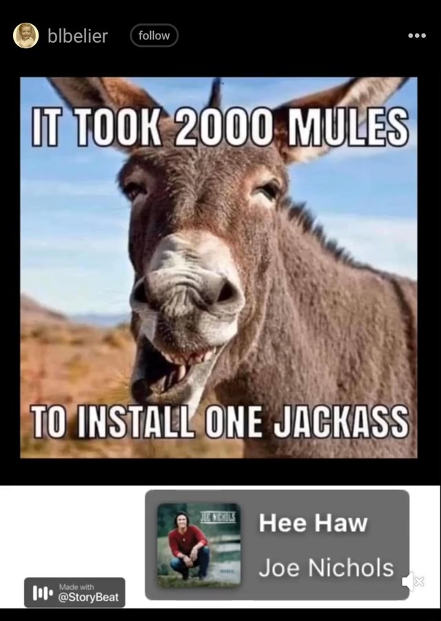 Blbelier IT TOOK 2000 MULES TO INSTALL ONE JOCKASS Hee Haw Joe Nichols ...