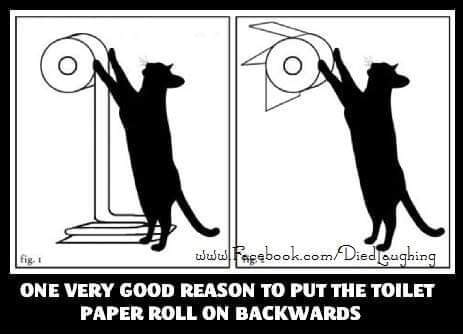 ONE VERY GOOD REASON TO PUT THE TOILET PAPER ROLL ON BACKWARDS ...