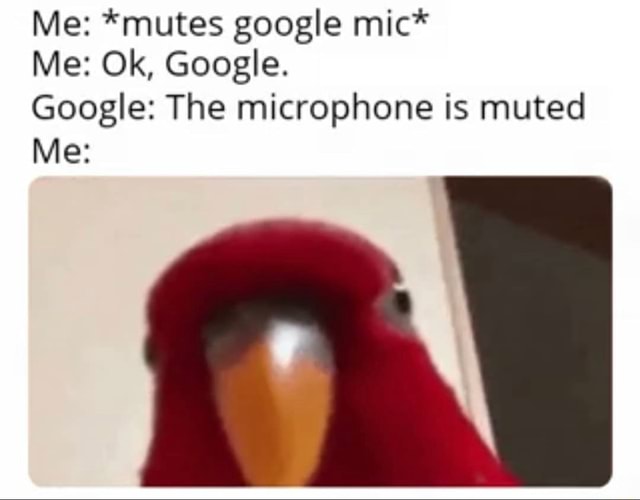 Me: *mutes google mic* Me: Ok, Google. Google: The microphone is muted ...