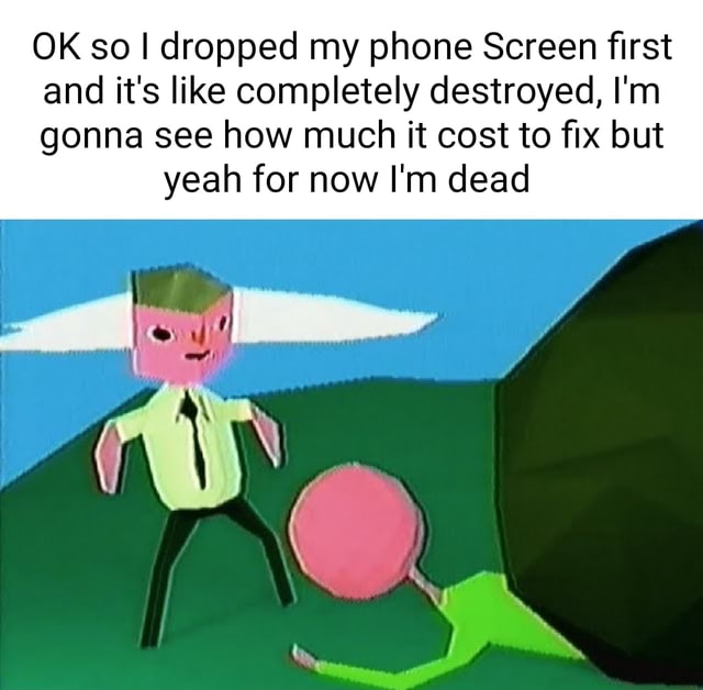 OK so I dropped my phone Screen first and it's like completely ...