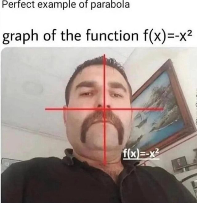 Perfect example of parabola graph of the function - iFunny