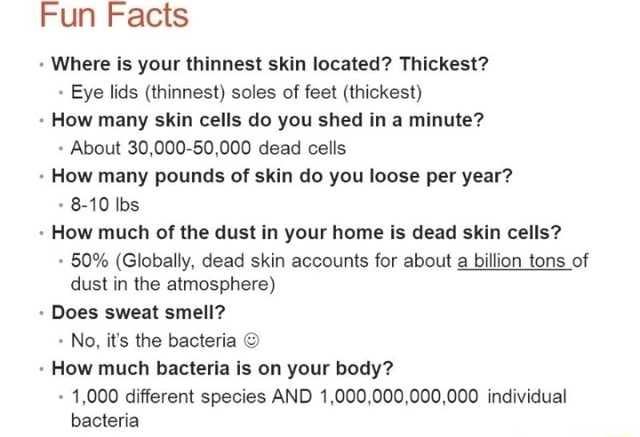 Fun Facts Where is your thinnest skin located? Thickest? Eye lids ...