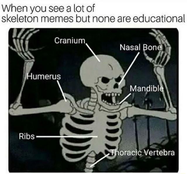 When you see lot of skeleton memes ut none are educational Cranium ...