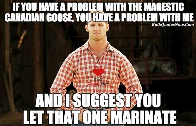 IF YOU HAVE A PROBLEM WITH THE MAGESTIC CANADIAN GOOSE, YOU HAVE A ...