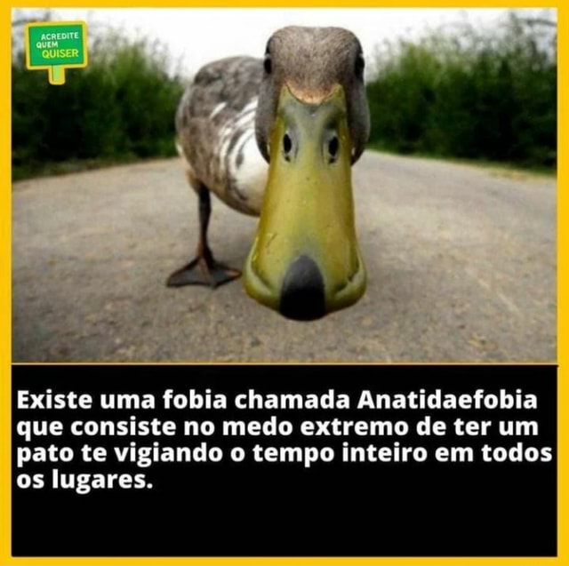 QUISER Existe uma fobia chamada Anatidaefobia que consiste no medo ...