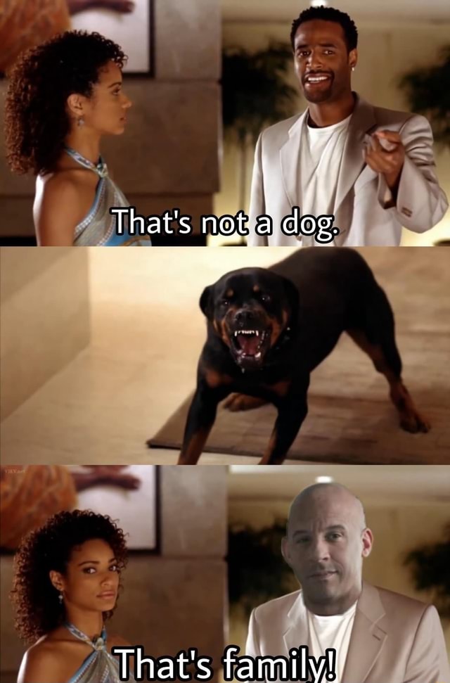 That's not dog. nil That's family! - iFunny