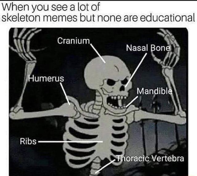 When you see a lot of skeleton memes but none are educational Wiz Crani ...