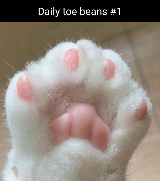 Daily toe beans #1 - iFunny