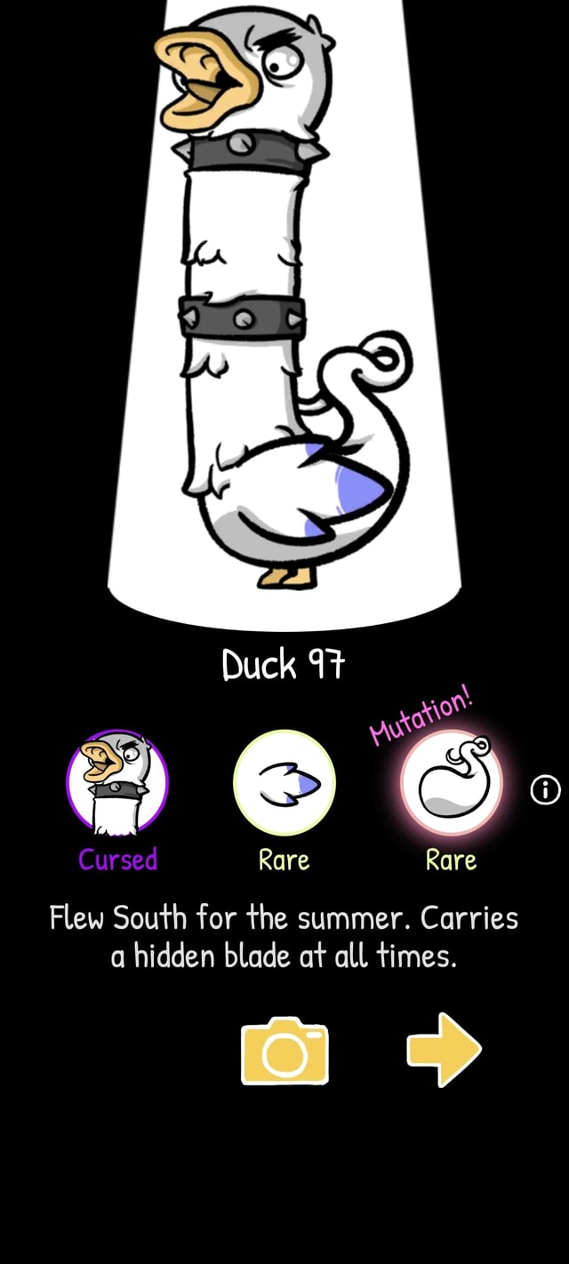 Duck OS Rare Rare Cursed Rare Flew South for the summer. Carries a hidden blade at all times ...