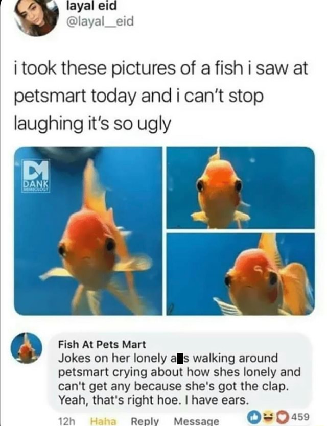 Layal eid @layal_ i took these pictures of a fish saw at petsmart today ...