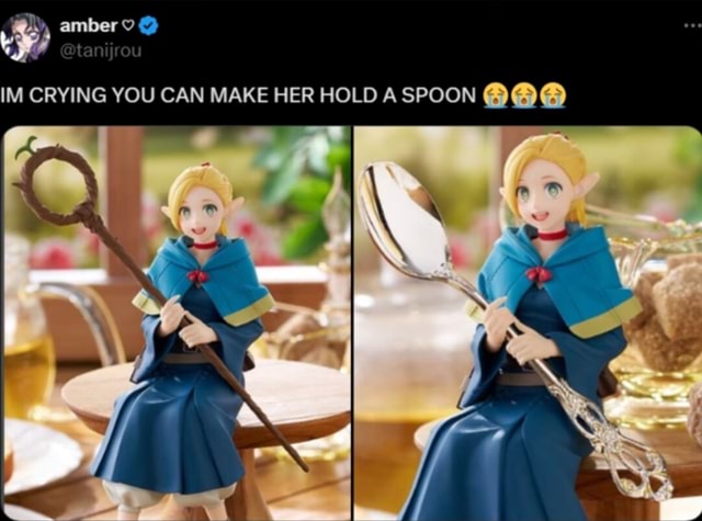 Amber IM CRYING YOU CAN MAKE HER HOLD A SP - iFunny