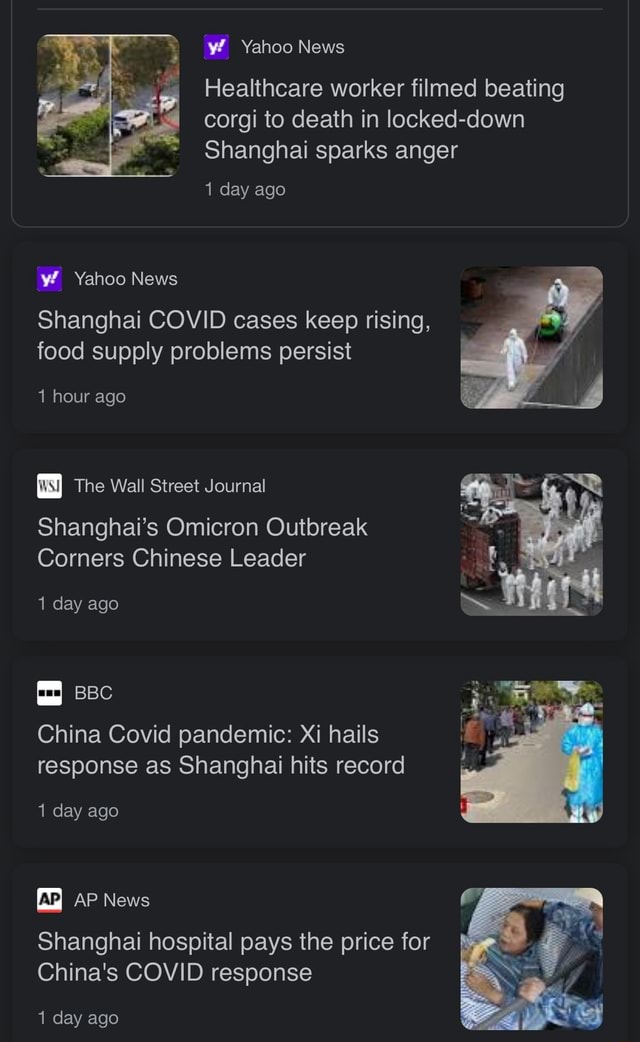 Yahoo News I Healthcare worker filmed beating corgi to death in locked-down Shanghai sparks ...