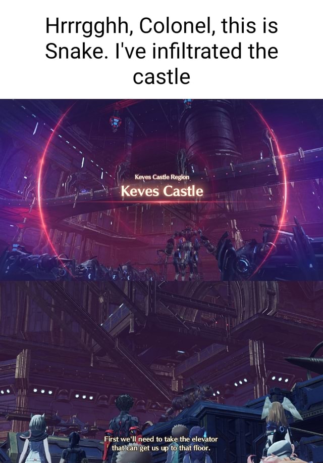 Hrrrgghh, Colonel, this is Snake. I've infiltrated the castle Keves ...