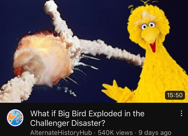 What if Big Bird Exploded in the Challenger Disaster ...