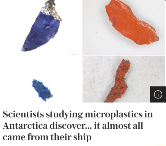 Scientists studying microplastics in Antarctica discover... it almost ...