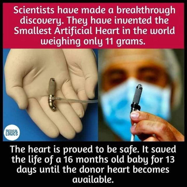 Smallest Artificial Heart in the world! - Scientists have made a ...