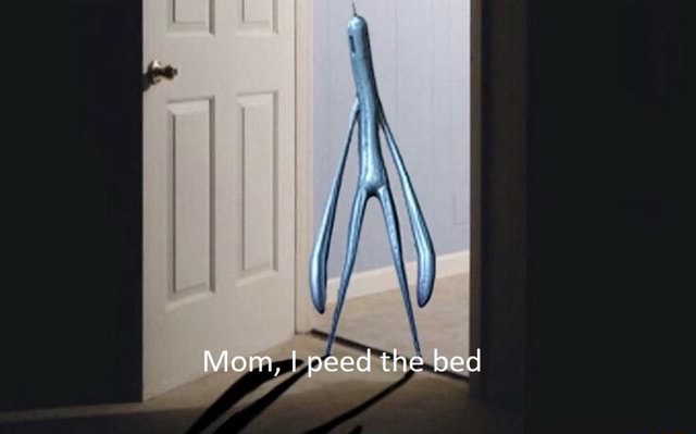 Mom I Peed The Bed Ifunny