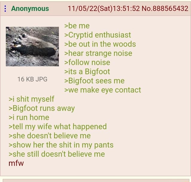 Anonymous No.888565432 >be me >Cryptid enthusiast >be out in the woods ...
