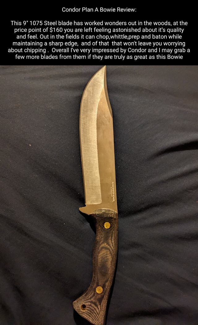 Condor Plan A Bowie Review: This 9" 1075 Steel blade has worked wonders ...