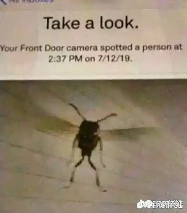 Take a look. Front Door camera spotted person at 2.37 PM on - iFunny