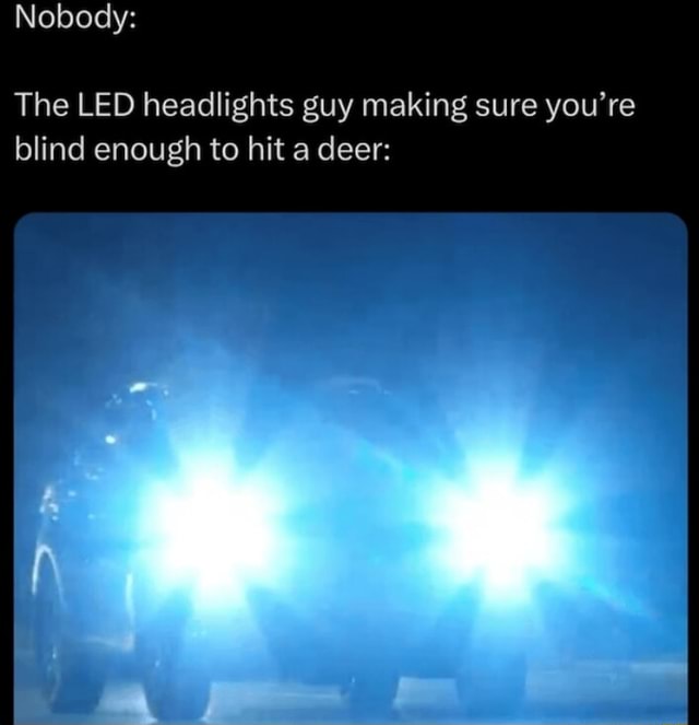 Nobody: The LED headlights guy making sure you're blind enough to hit a ...