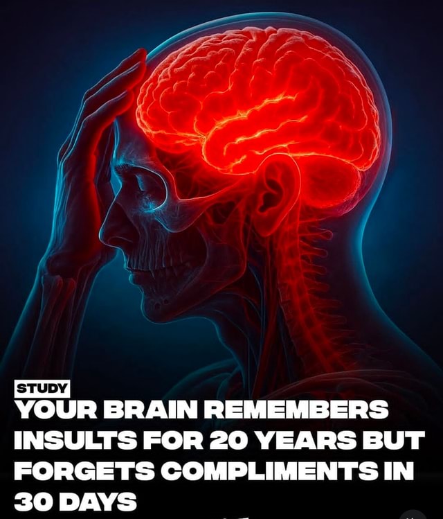 YOUR BRAIN REMEMBERS INSULTS FOR 20 YEARS BUT FORGETS COMPLIMENTS IN 30 ...
