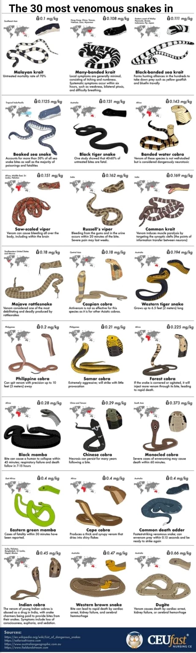 The 30 most venomous snakes in DD Malayan krait Many-banded krait Black ...